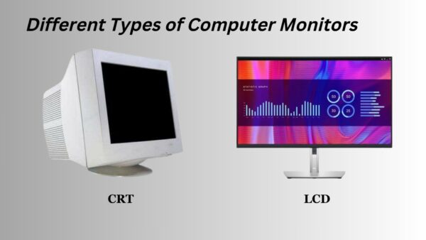 Understanding the Function of a Monitor - Essential Guide - PC ...